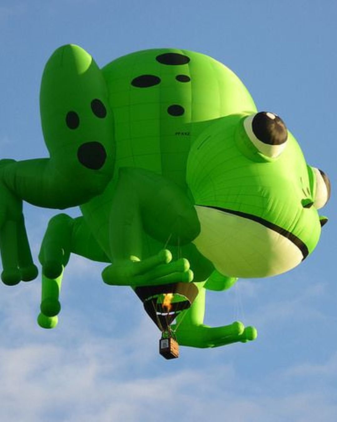 Soaring into 50 Years: Carolina BalloonFest Celebrates a Golden ...